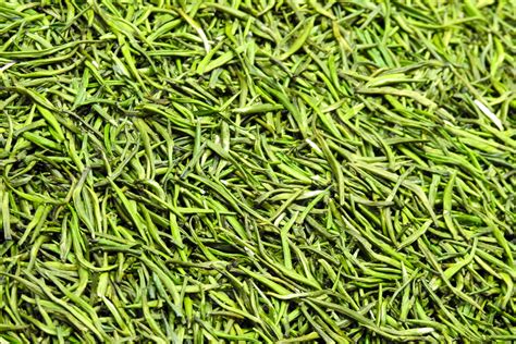 Tea Vector Graph Background Tea Background Picture Tea Advertising