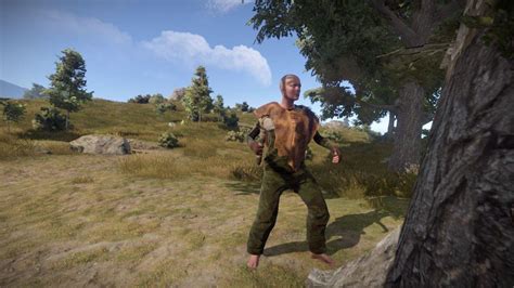 Rust January 2025 Update Notes Tariq Jewel