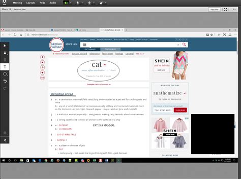 How To Add Pointer Markings On A Page In Adobe Connect During Screen Sharing