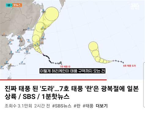 허리케인 태풍 구역 까지온 도라 태풍 유머 움짤 이슈 에펨코리아
