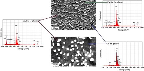 Sem Micrographs And The Corresponding Eds Spectra Of Sc07 Solder Aged