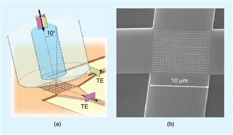 A 2d Grating Couples Each Of The Two Orthogonal States Of Polarization Download Scientific