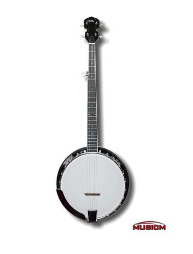5 Strings Irin Banjo Musicm