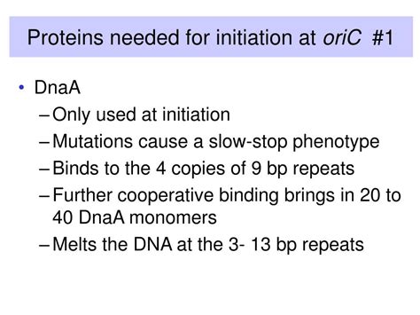 Ppt Control Of Dna Replication Powerpoint Presentation Free Download
