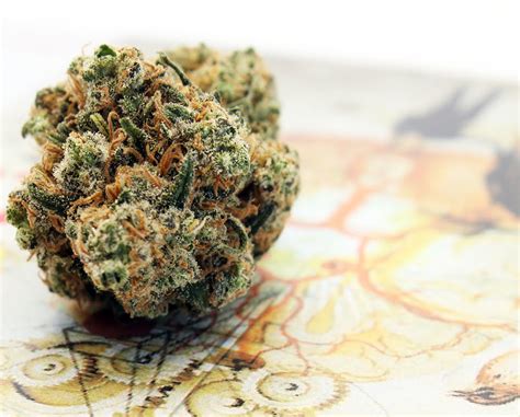 Pineapple Express Strain Review Pineapple Express Strain Details