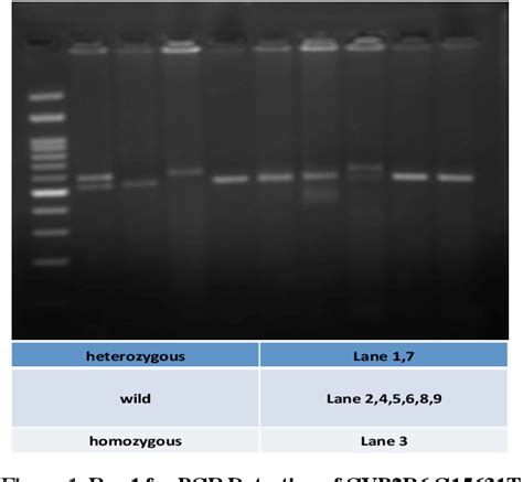 Figure 1 From Prognostic Value Of A Cyp2b6 Gene Polymorphism In