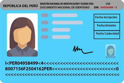 Cómo Hacer Una Consulta De Propiedades Sunarp Con Dni