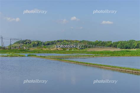 Photolibrary