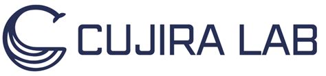Vuca時代にこそ必要なセンスメイキング理論とは？