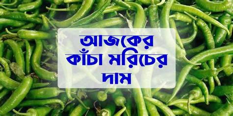 বিশ্বকাপ ক্রিকেট ২০২৩ সময়সূচী দল ও ভেন্যু । Icc Cricket World Cup