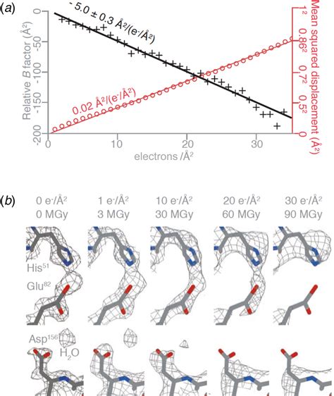 Current Limitations To High Resolution Structure Determination By Single Particle Cryoem