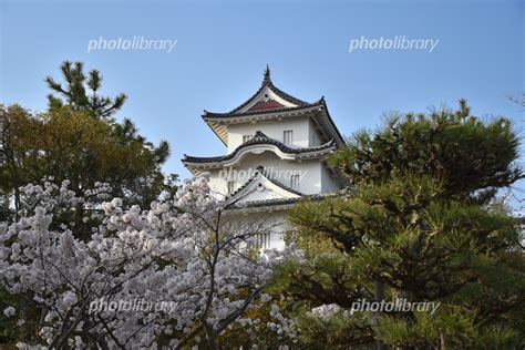 明石城 写真素材 4176177 フォトライブラリー photolibrary