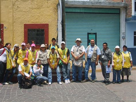 SSG Arranca Actividades Del Operativo Dengue En Irapuato T Informa Noticias
