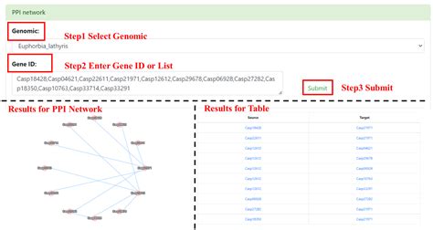 Euphorbiaceae Db Tutorial
