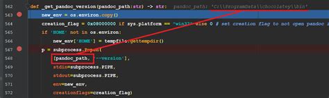 In Windows The Function Get Pandoc Version Dont Receive The Path