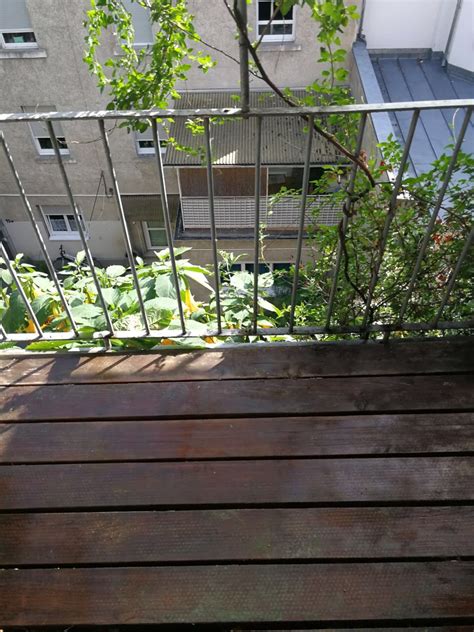 Taubenabwehr Balkon Frankfurt Tauben Beseitigen Balkon