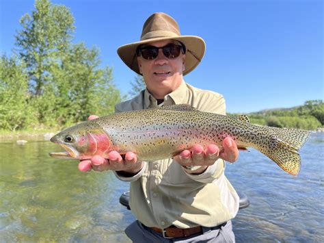 Yellowstone River Fly Fishing Montana River Descriptions
