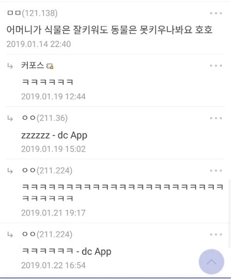 식물갤식 패드립 인스티즈instiz 이슈 카테고리