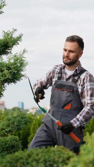 Gardener Pruning Decorative Trees At A Nursery Center 55245421 Stock Video At Vecteezy