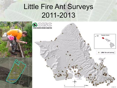 Gis At The Oahu Invasive Species Committee Ppt