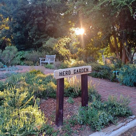 Uc Riverside Botanic Gardens In Riverside Ca With Photos