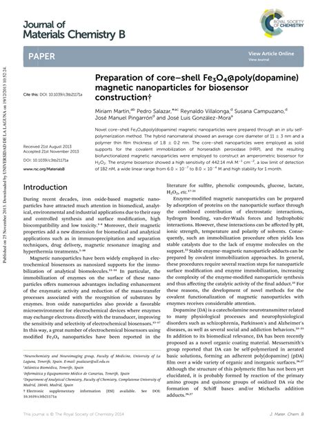 Pdf Preparation Of Core Shell Fe3o4polydopamine Magnetic Nanoparticles For Biosensor