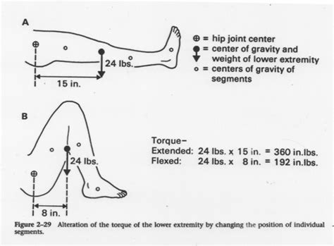 Biomechanics Week Torque Flashcards Quizlet
