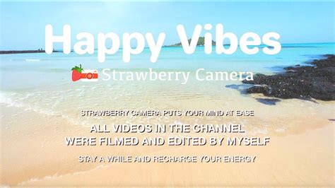 𝐏𝐥𝐚𝐲𝐥𝐢𝐬𝐭 하루 일과를 마치고 듣기 좋은 행복한 음악 모음 🍓strawberry Camera Youtube
