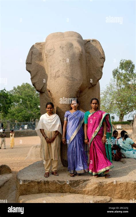 Elephant Sculpture Amongst The Five Rathas Monolithic Rock Cut