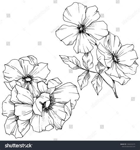 Vector Rosa Canina Floral Botanical Flower Stock Vector Royalty Free 1266533275 Shutterstock