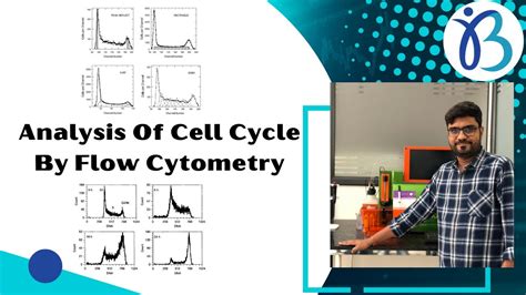 Cell Cycle Analysis By Flow Cytometry YouTube