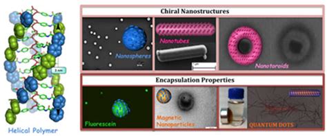 Researchers Develop Novel Chiral Nanostructures From Helical Polymers