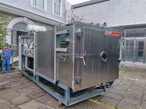 China Famous Used Tofflon Vacuum Freeze Dryer Buy China Famous Used