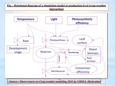 Crop Modeling Types Of Crop Growth Models In Agriculture Pptx