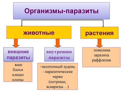 Организменная среда обитания презентация онлайн