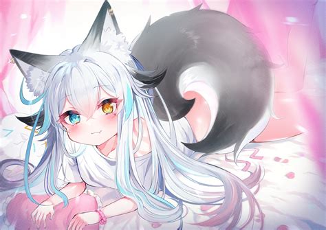 Wallpaper Anime Girls Heterochromia Tail Animal Ears Dog Girls