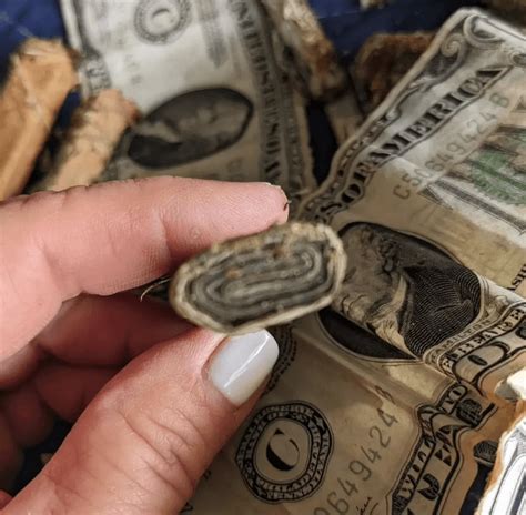 ឈូសឆាយសួនច្បារក្រោយផ្ទះសុខៗ ស្រាប់តែប្រទះឃើញលុយទាំងដុំៗ នៅក្នុងដីហ្មង Khmerload Cambodia