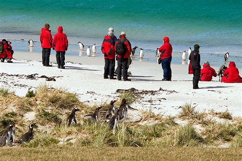 Carcass Island Falklands Wow