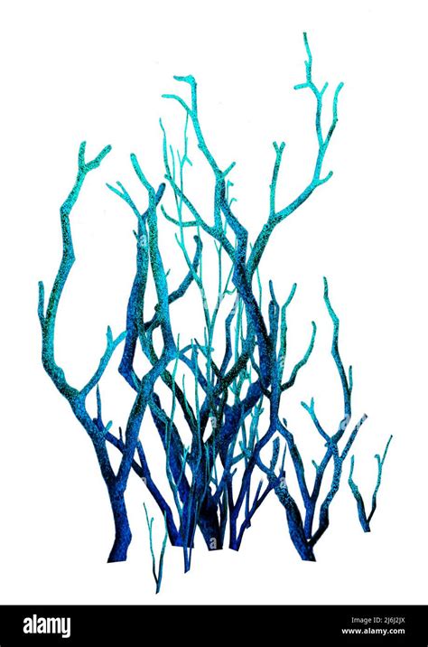 3d Rendering Of A Fantasy Alien Grass Isolated On White Background