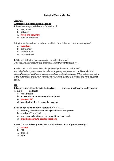 Lecture 2 Questions And Answers Biological Macromolecules Lecture 2 Synthesis Of Biological