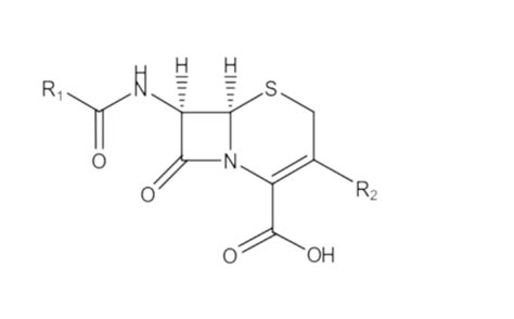 Cephalosporins Flashcards Quizlet