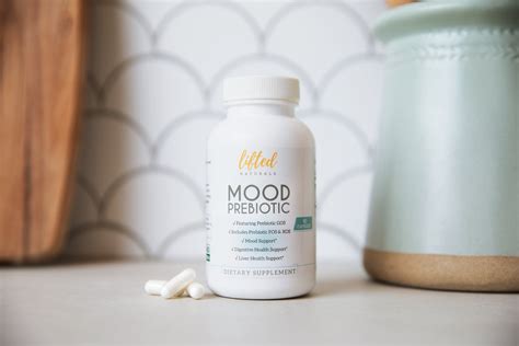 Prebiotic Fiber For Gut Health And The Power Of Mood Prebiotics
