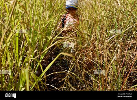 Girl Walks Through Overcrowded Dense Long Grass Many Peaks Hike To