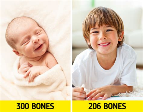 ۷ حقیقت شگفت‌آور درباره جنین انسان که نمی‌دانید