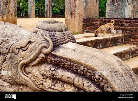 Sri Lanka Ceylon North Central Province Anuradhapura Historic
