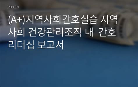 A지역사회간호실습 지역사회 건강관리조직 내 간호 리더십 보고서 레포트