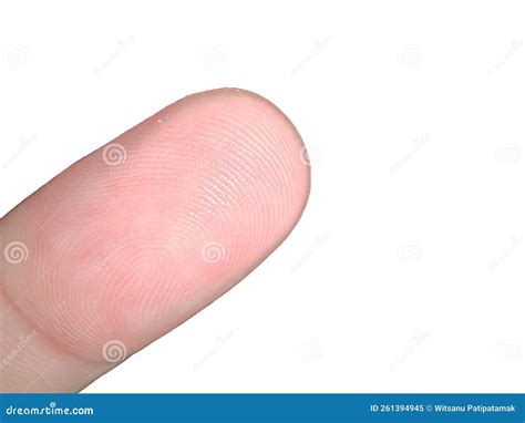 Closeup Of Fingerprint Texture Of Finger Skin Isolated On White