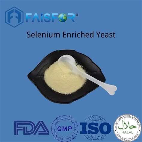 Food Grade Supplement Pure Selenium Enriched Yeast Powder China Selenium Enriched Yeast And