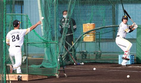 ＜ソフトバンク秋季キャンプ＞栗原の打撃練習でバッテング投手をする長谷川コーチ（撮影・中村 達也） ― スポニチ Sponichi Annex 野球