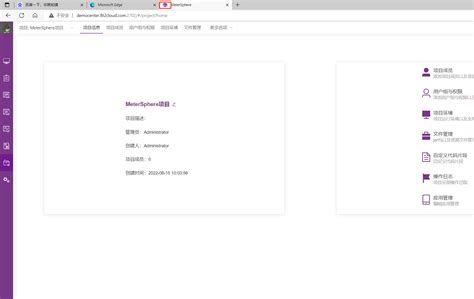 Bug 更换系统 Logo后，非更换logo人访问还是原favicon无痕窗口访问还是原favicon【首次更换必现】 · Issue